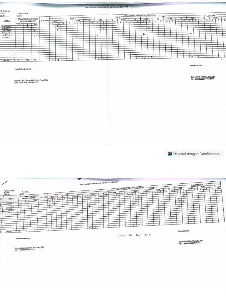BBL Final 2024 | PDF