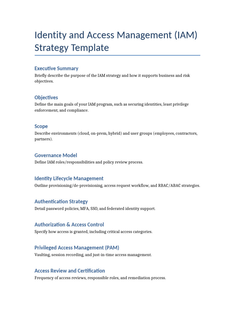 IAM Strategy Template | PDF