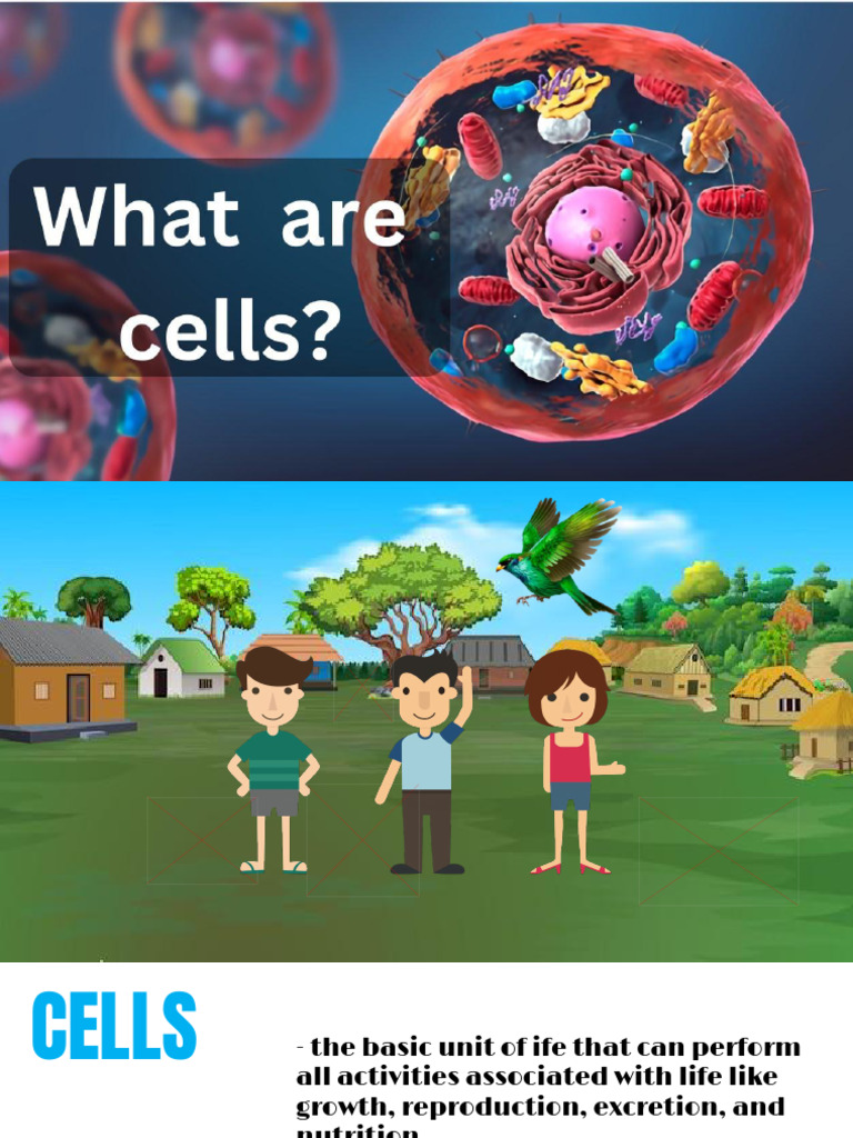 Cell Structure - Organization | PDF | Cell (Biology) | Endoplasmic ...