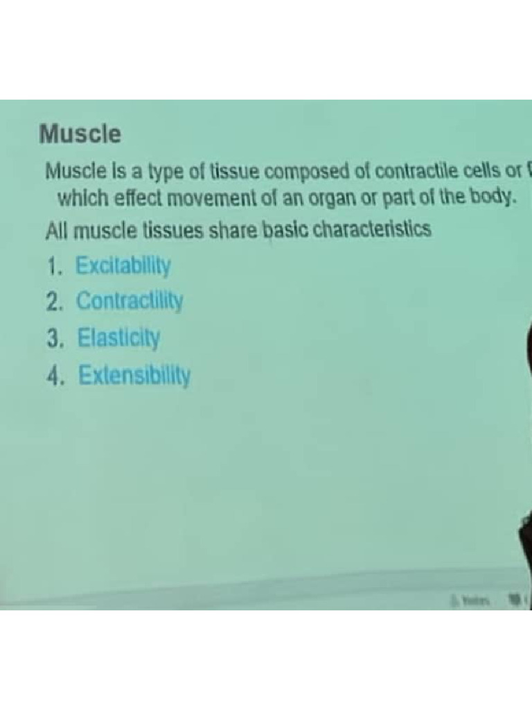 Muscle Contraction Lec | PDF