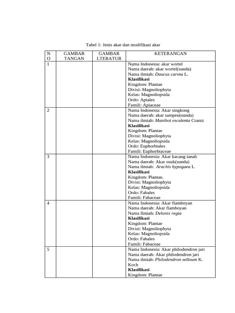 Jenis dan Modifikasi Akar Tumbuhan | PDF