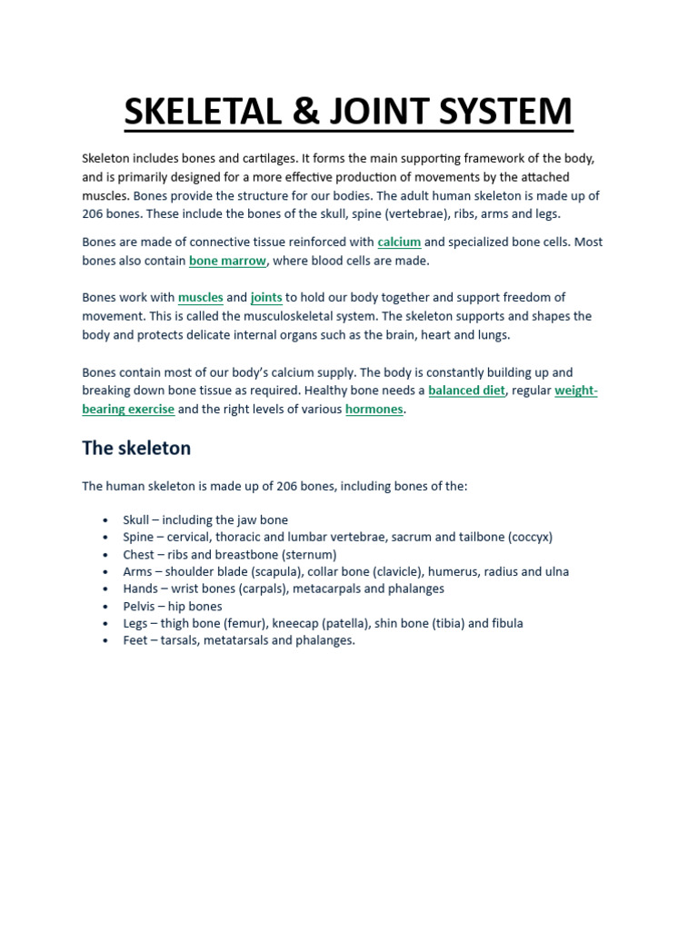 Bones and Skeleton Notes | PDF | Bone | Skeleton