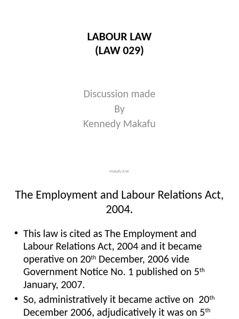 Overview of Tanzania's Labour Law 2004 | PDF | Labour Law | Employment