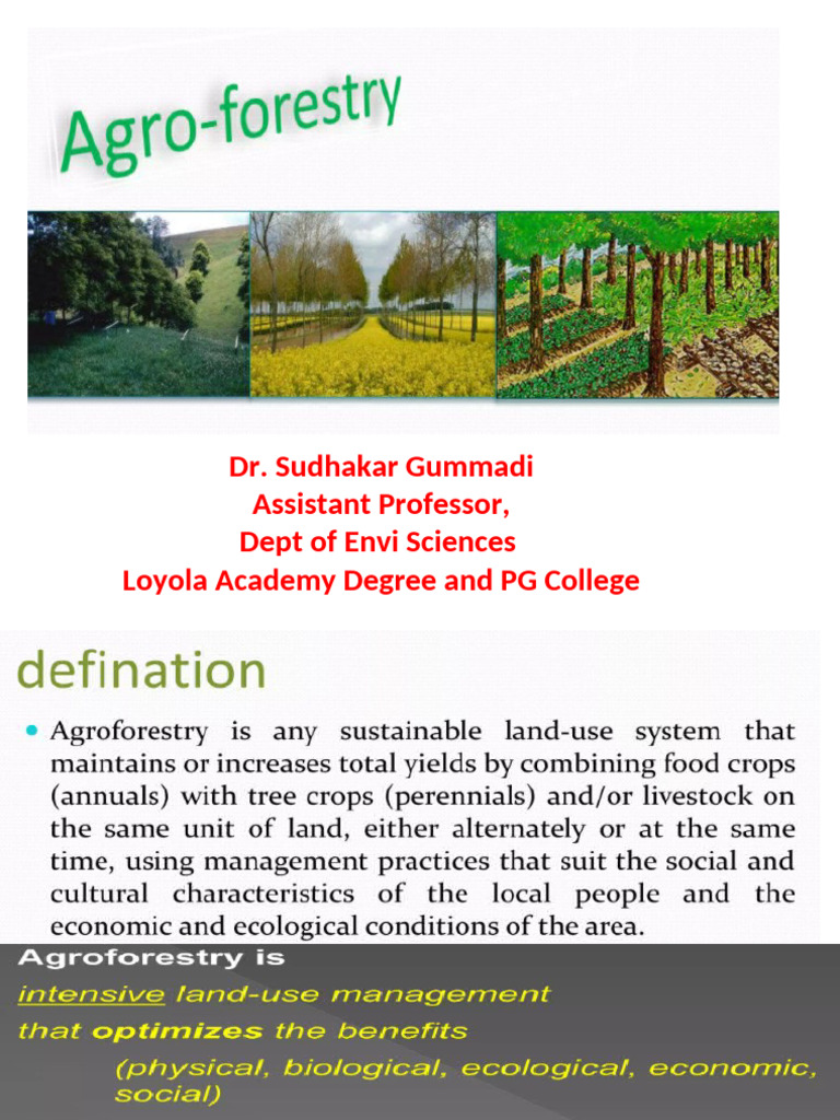 agroforestry ppt | PDF