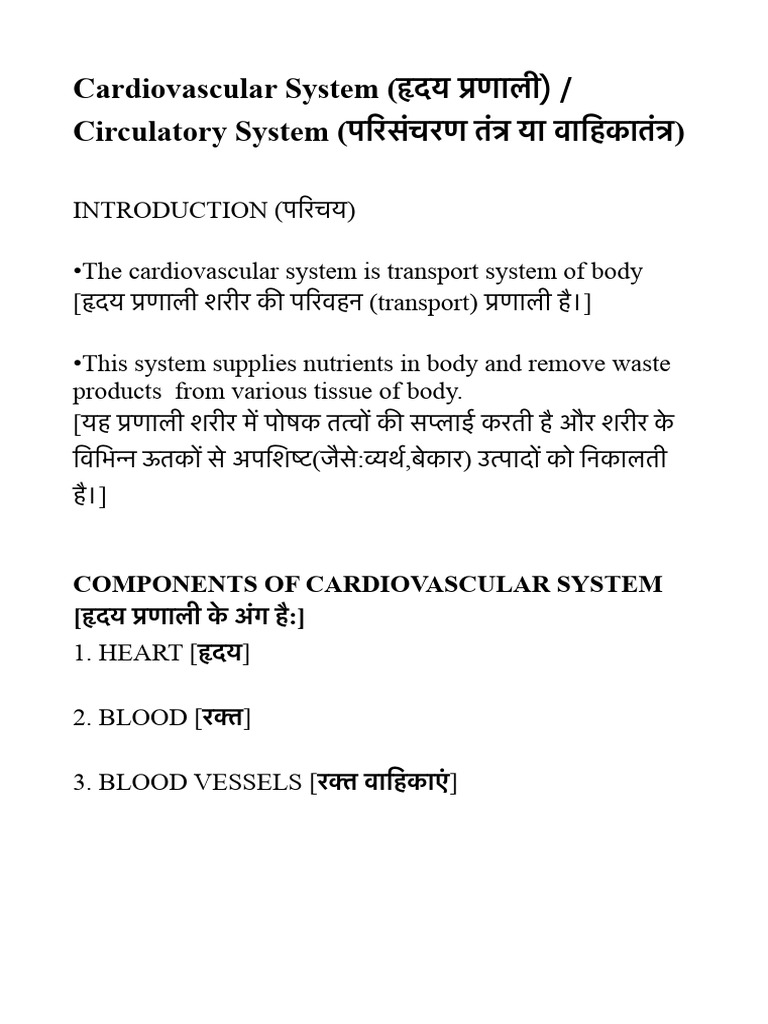 Cardiovascular System | PDF