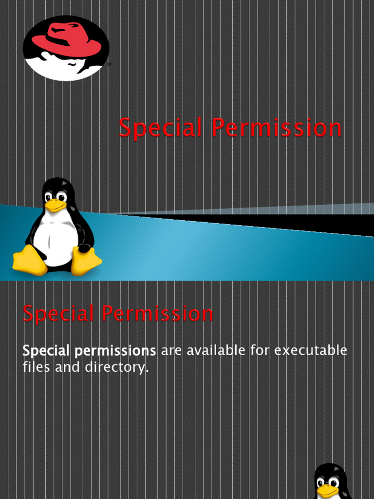 Special Permission | PDF