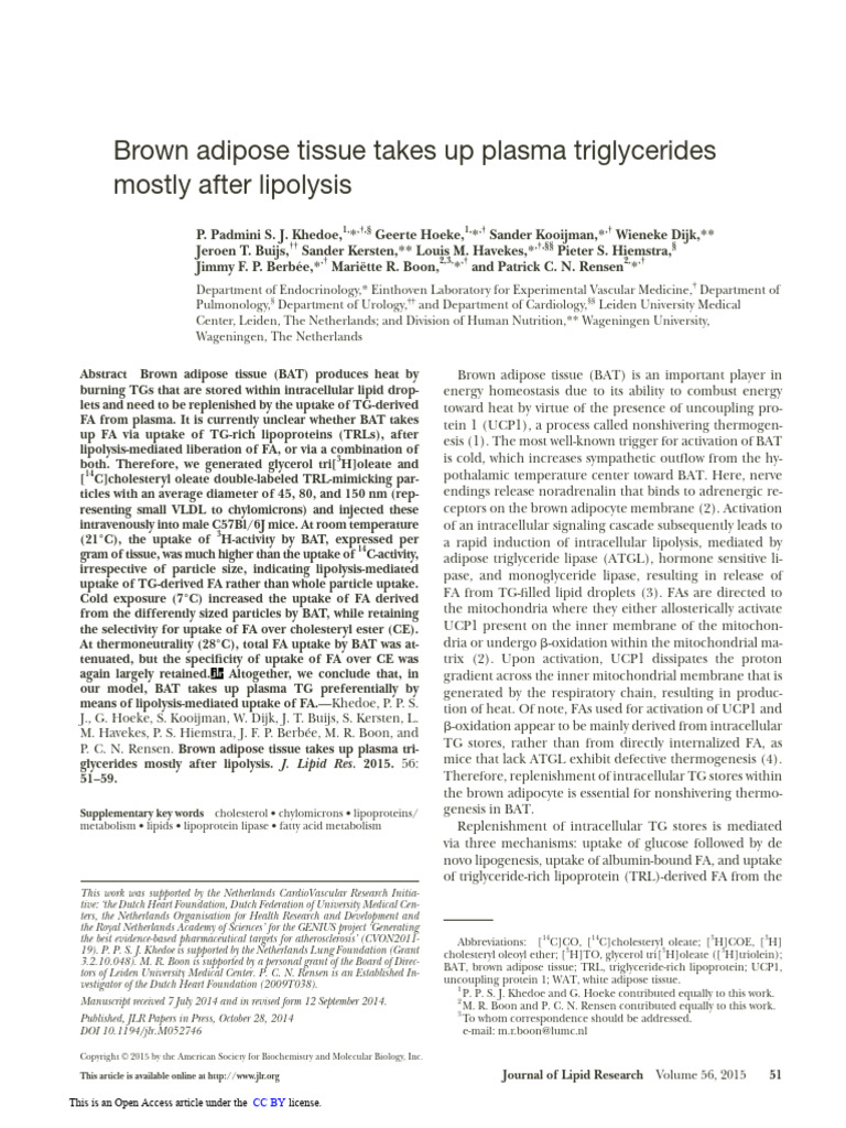 Brown Adipose Tissue Takes Up Plasma Triglycerides | PDF | Lipoprotein ...