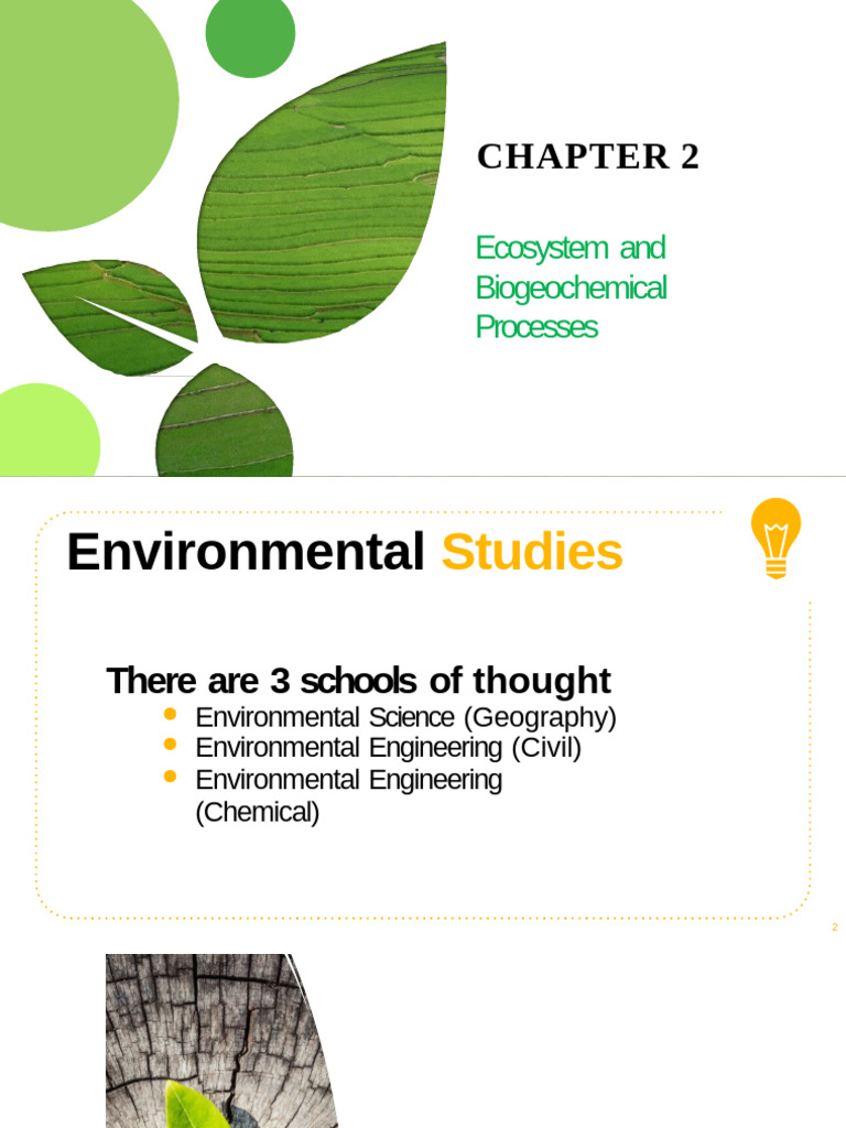 Chapter 2 Ecosystem New 2025 | PDF | Ecosystem | Mole (Unit)