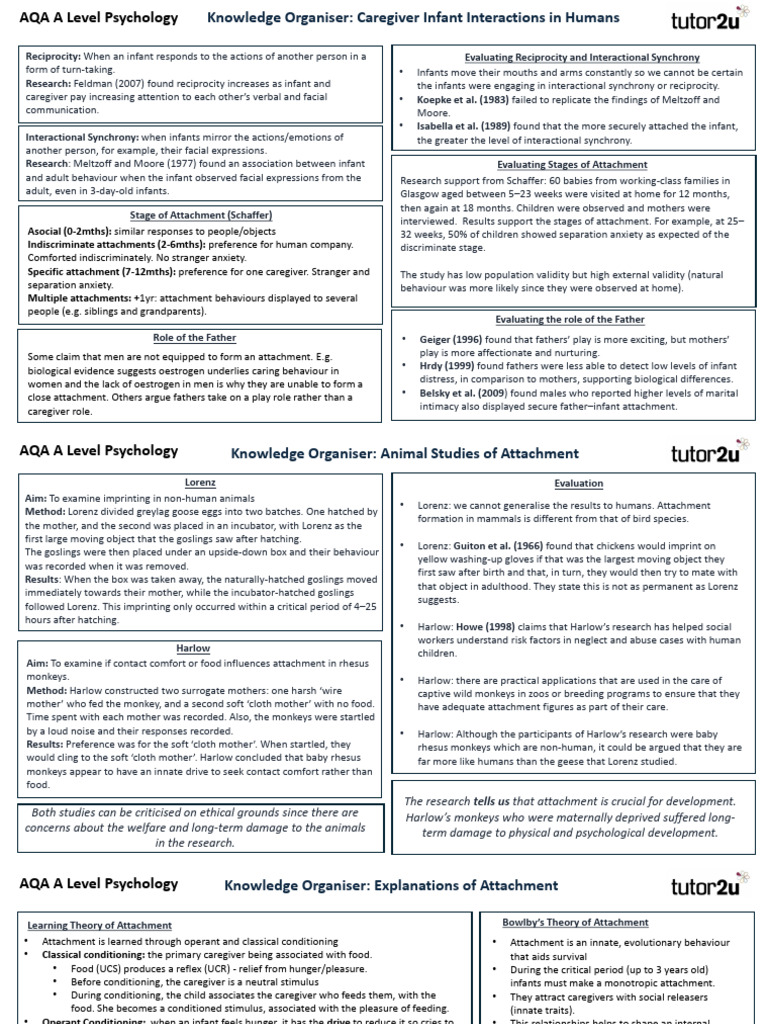AQA A Level Psychology Attachment Knowledge Organisers | PDF ...