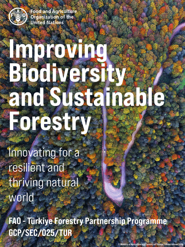 Improving Biodiversity and Sustainable Forestry | PDF | Forest ...