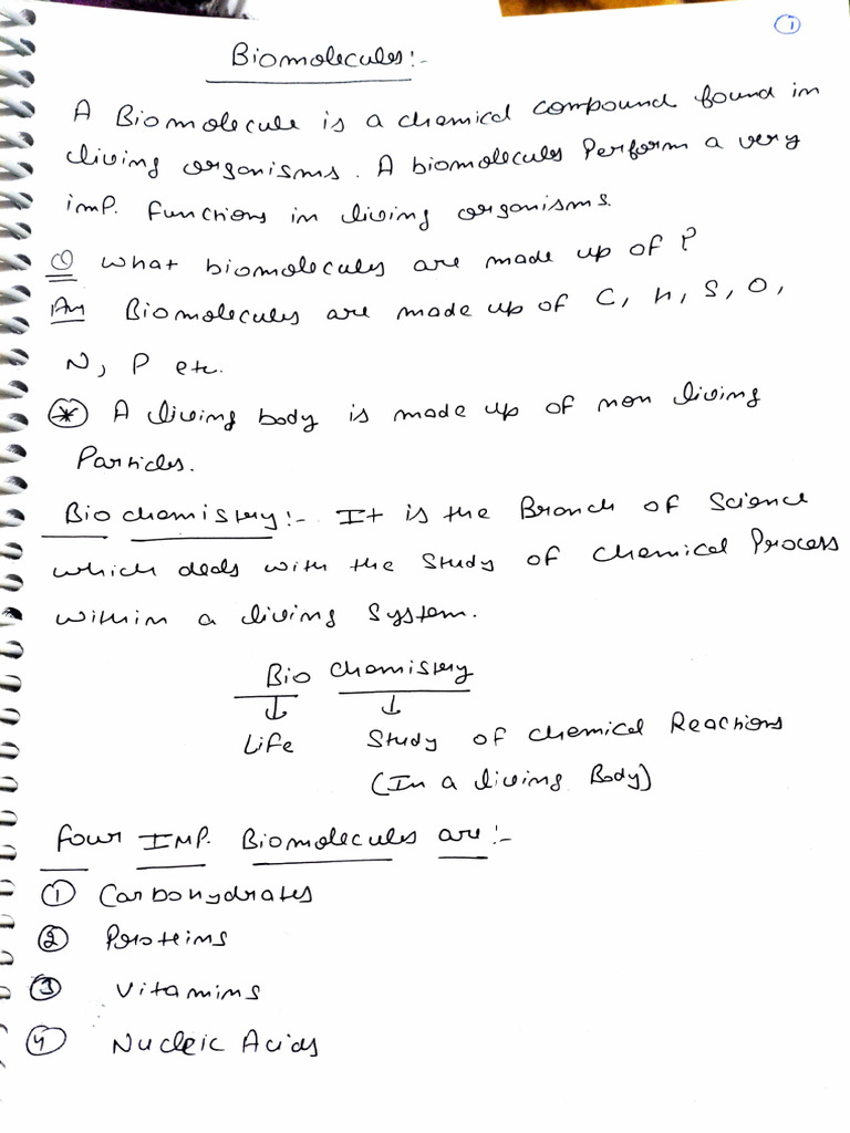 Class 12 (Biomolecule ) | PDF