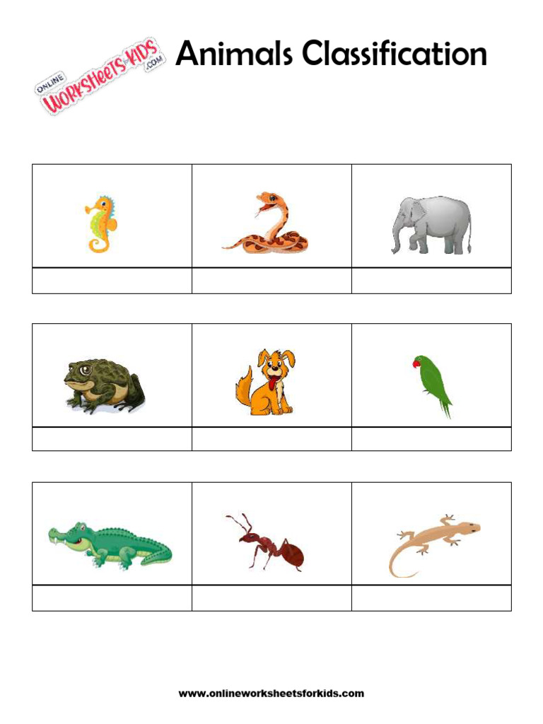 Animals Classification Worksheet For 1st Grade 5 | PDF