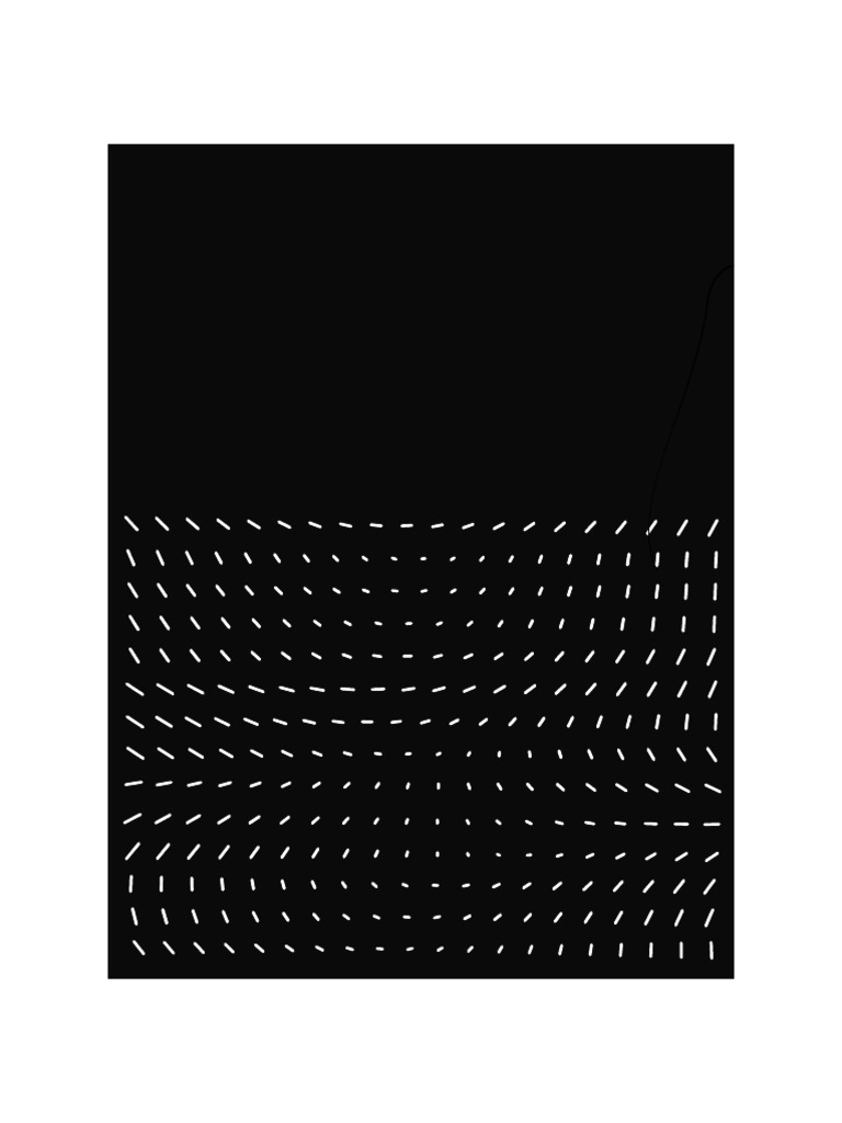 Cfi Foi | PDF
