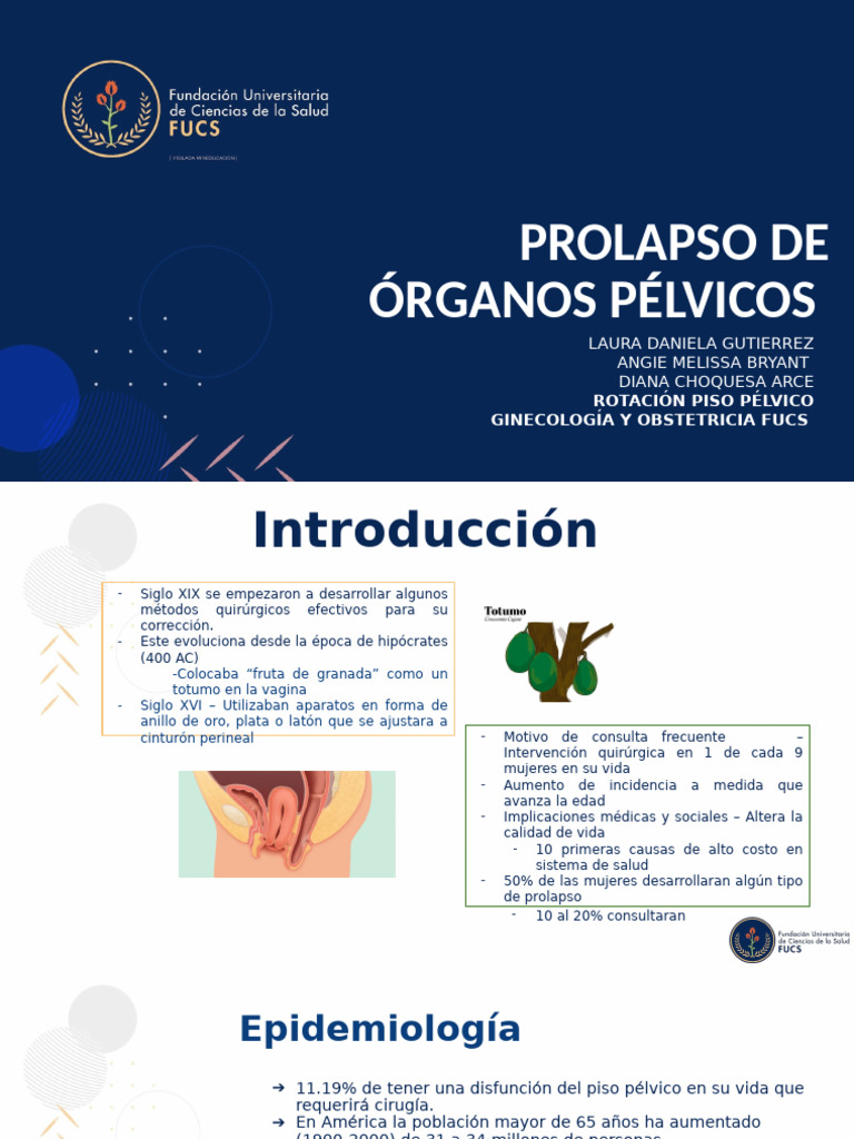 Definitiva Prolapso Organos Pelvicos | PDF | Especialidades Medicas ...