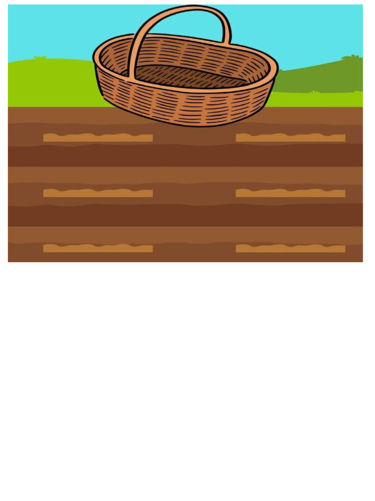 0 23 Fisa Mate | PDF