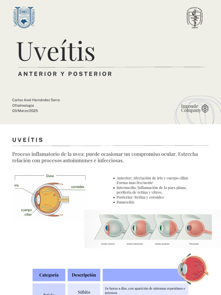 Uveítis: Tipos, Síntomas y Tratamiento | PDF | Inflamación ...