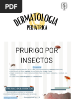 Prúrigo Por Insectos | PDF