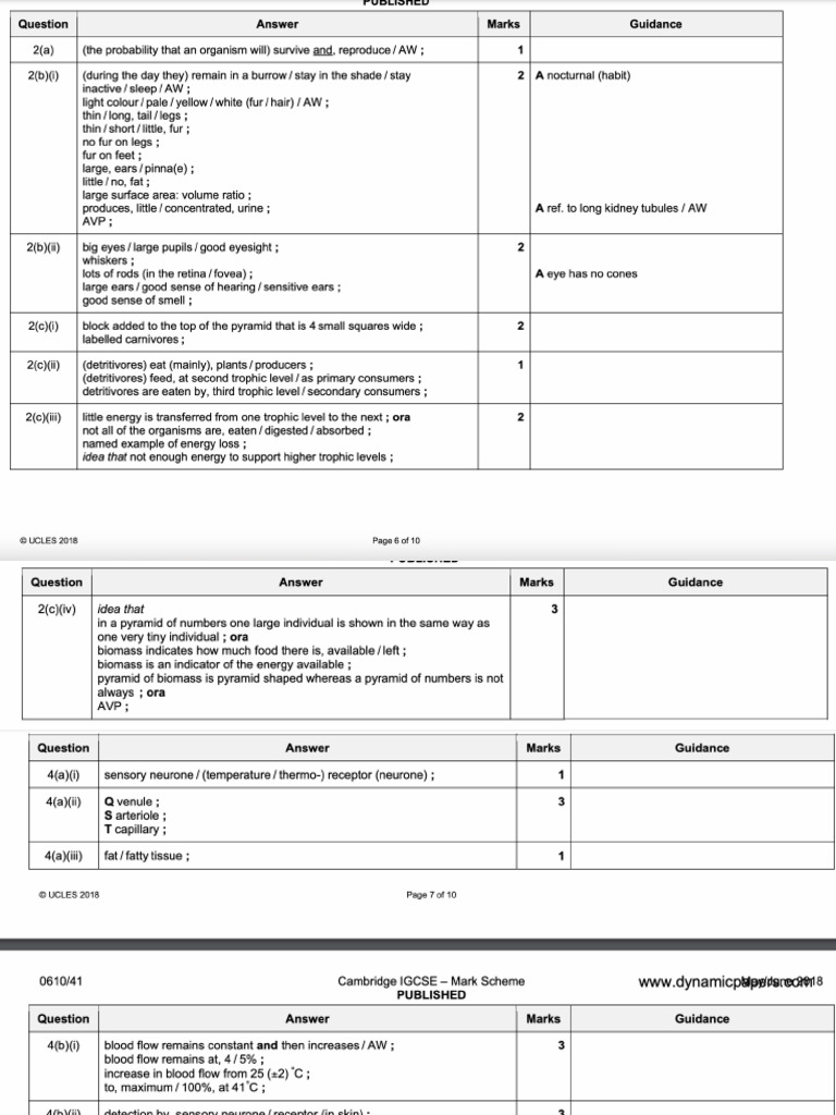 MS Worksheet 3&4 | PDF