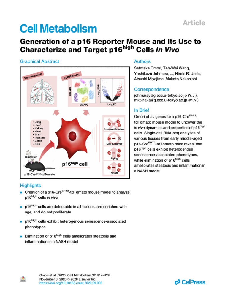 Generation-of-a-p16-Reporter-Mouse-and-Its-Use-to- | PDF | Gene ...