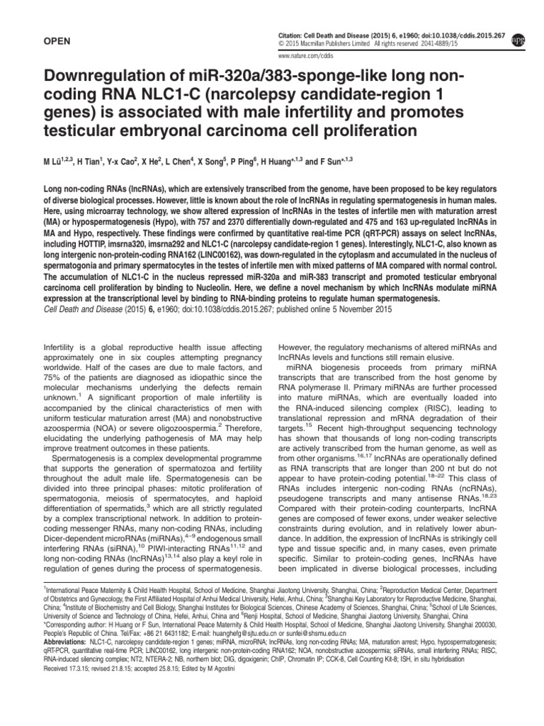 Downregulation of MiR 320a 383 Sponge Like Long Noncoding RNA NLC1 C ...