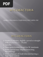 Mycostrip Tds 50 100 | PDF | Cell Culture | Mycoplasma