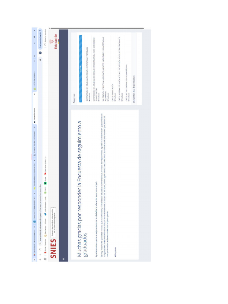 pantallazo encuesta | PDF