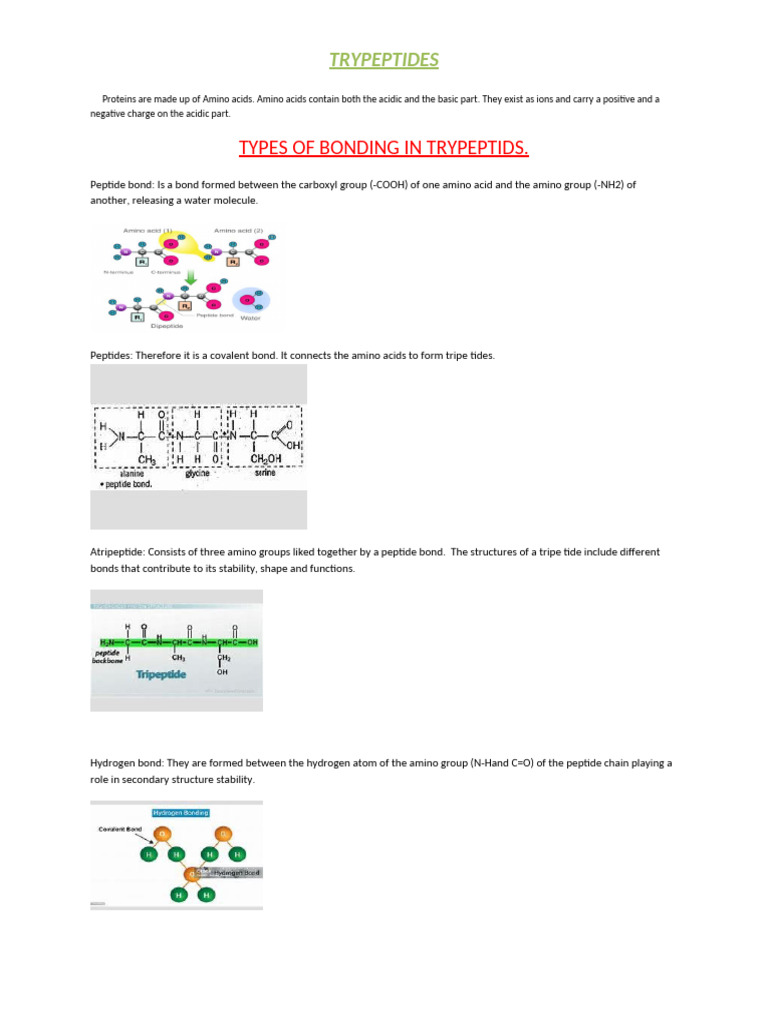 TRYPEPTIDES | PDF