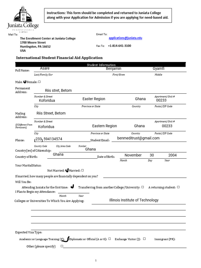 International Student Financial Aid Application | PDF | Debt | Expense