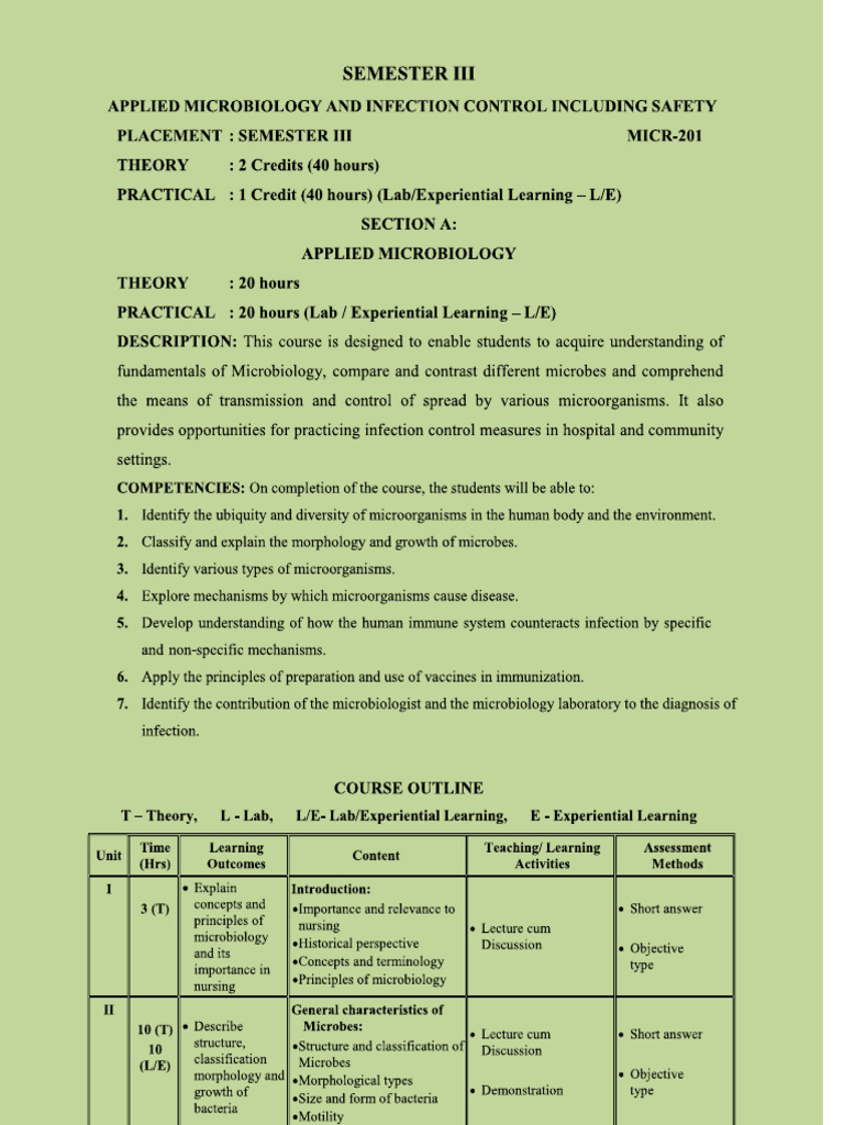 Micro Syllabus | PDF