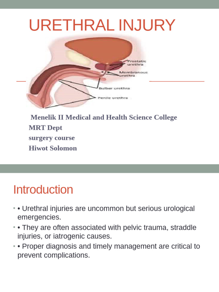 Urethral - Injury Final 1 | PDF | Urinary Incontinence | Surgical ...