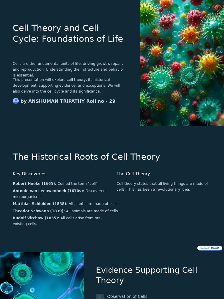 Cell Theory and Cell Cycle Foundations of Life | PDF | Mitosis | Cell ...