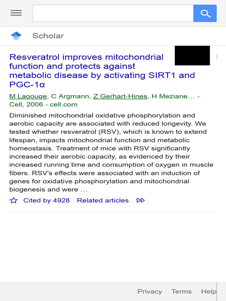 Mitochondrial Functions | PDF