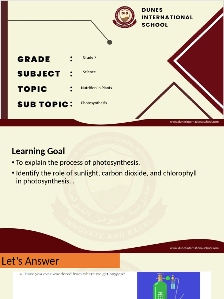 Photosynthesis and Plant Nutrition Guide | PDF | Photosynthesis | Cell ...
