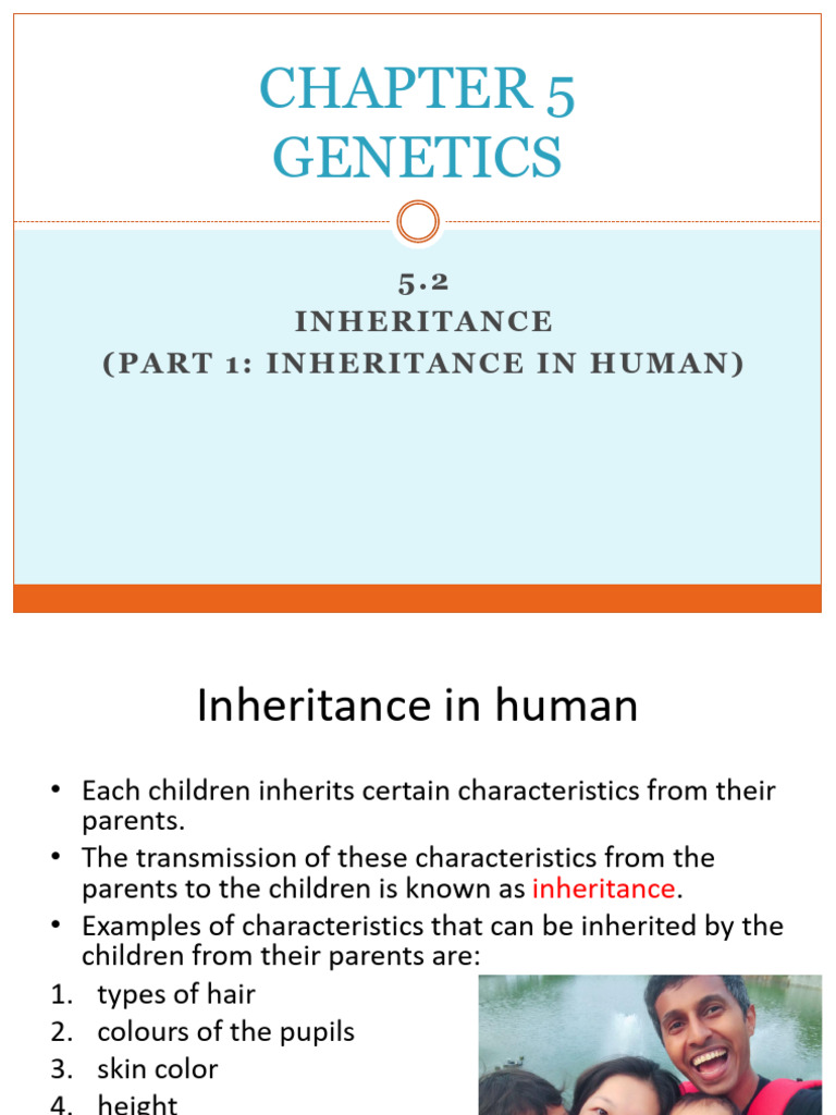 5.2 Inheritance in human | PDF | Dominance (Genetics) | Genotype
