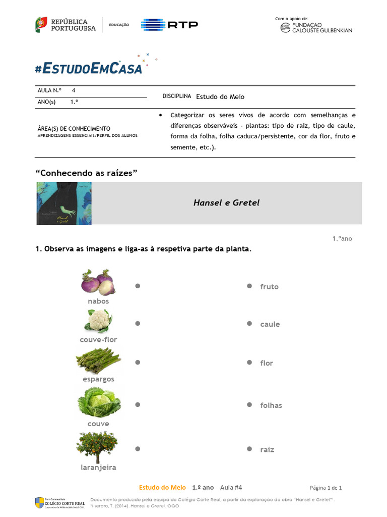 #Estudoemcasa - Estudo Do Meio - 1.ºano - Aula4 | PDF | Raiz | Flores