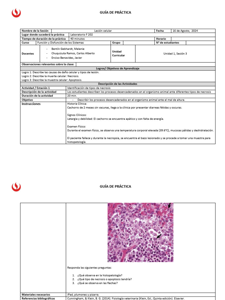 Sesión 3 - GP - Daño Celular | PDF | Edema | Especialidades Medicas