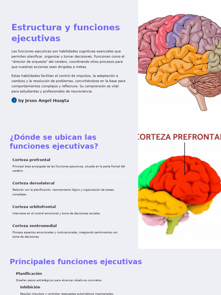 Funciones Ejecutivas y su Importancia | PDF | Funciones ejecutivas ...