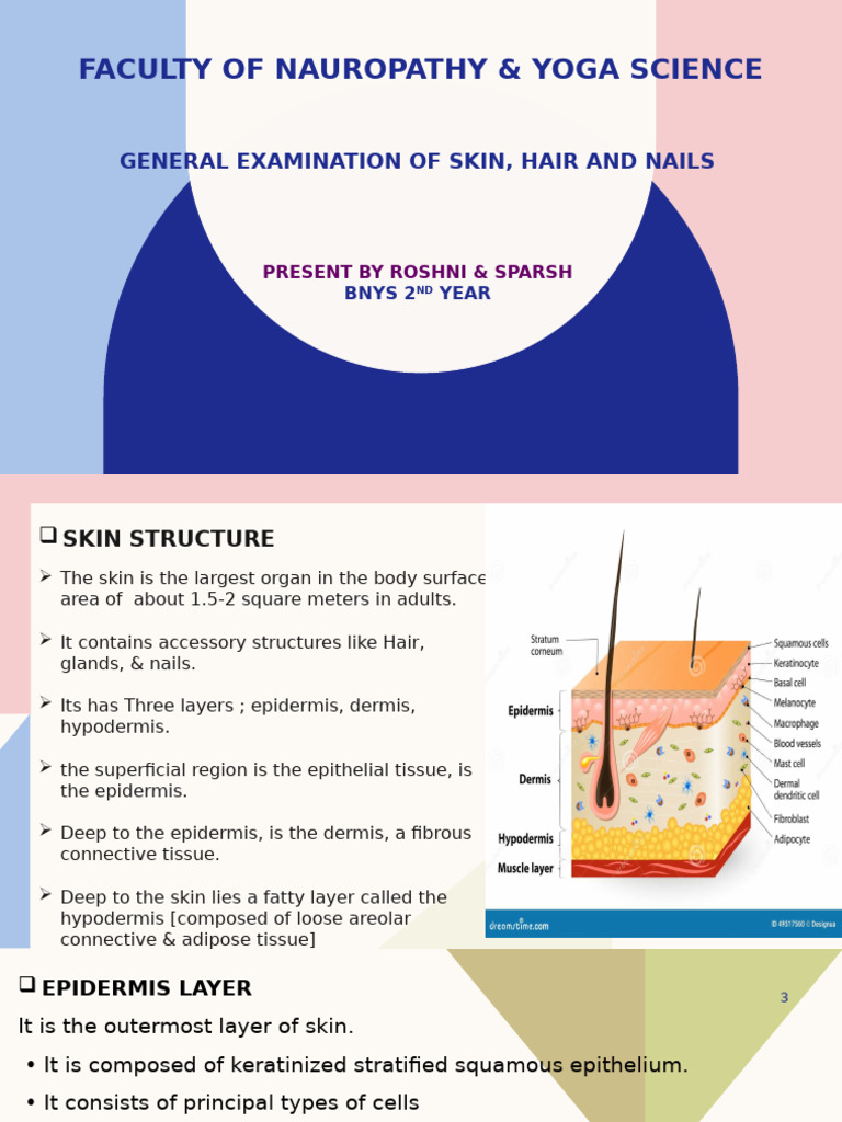 General examination of skin, nail and hair | PDF | Epidermis | Skin