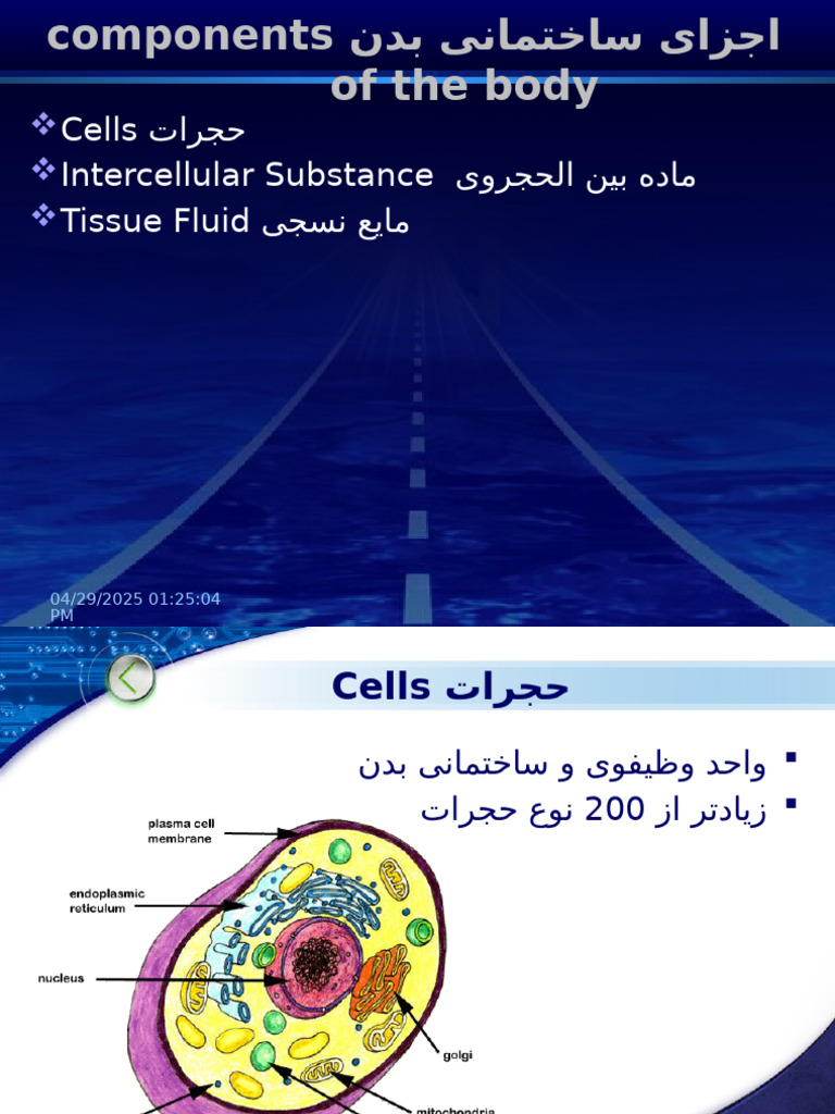 Components of The Body | PDF