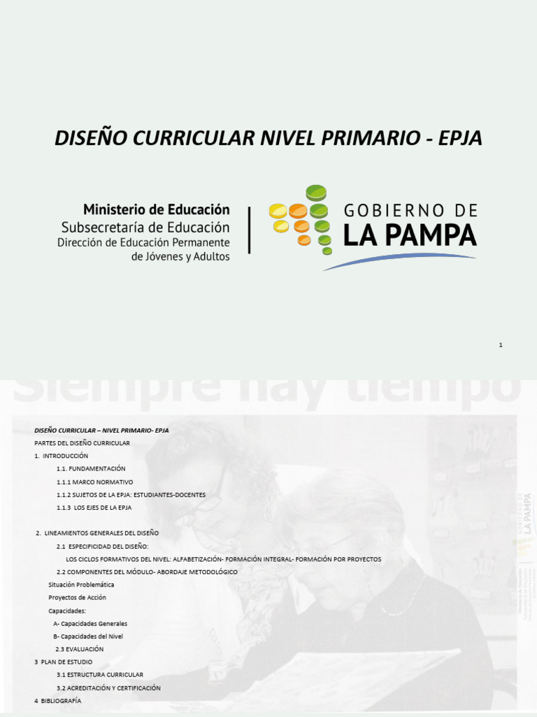 Curriculum Primaria EPJA | PDF | Enseñando | Plan de estudios