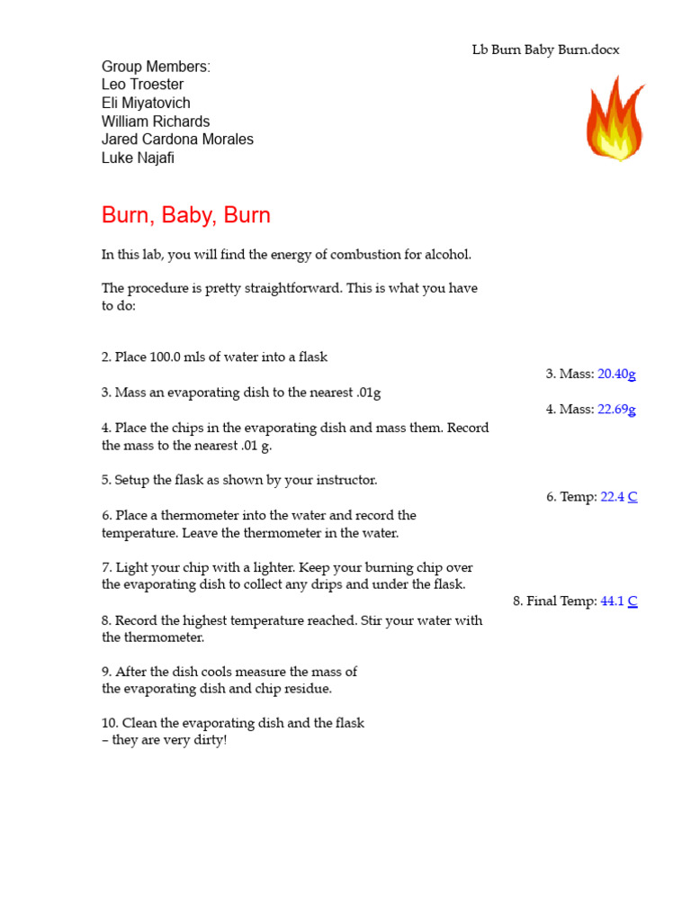LB Burn Baby Burn | PDF | Calorie | Physical Chemistry