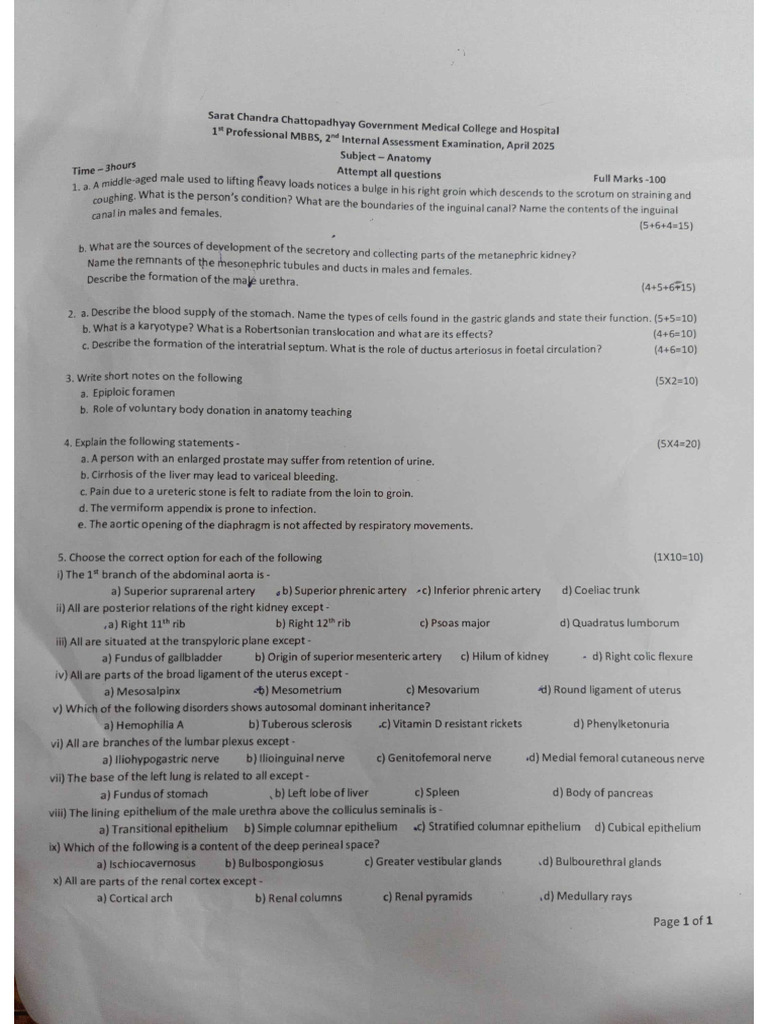 Anatomy Assessment Questions 2025 | PDF | Kidney | Stomach