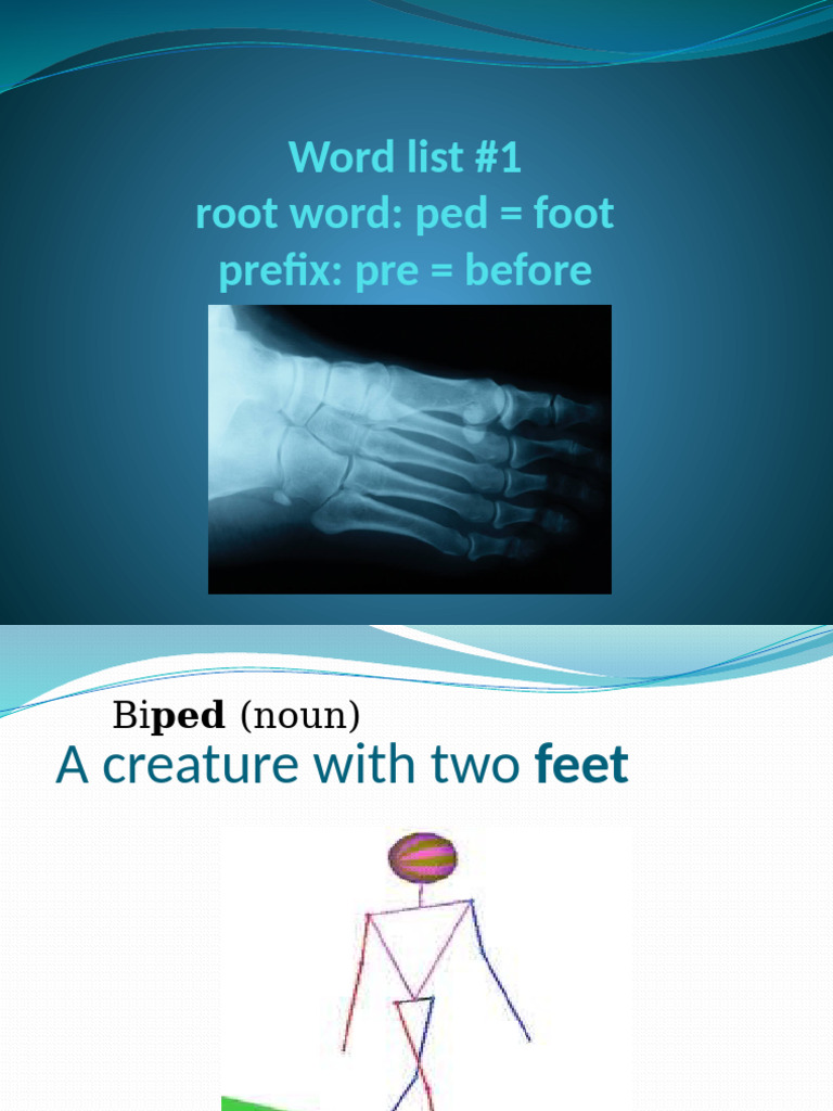 Vocab Word List Powerpoint Ped Pre | PDF