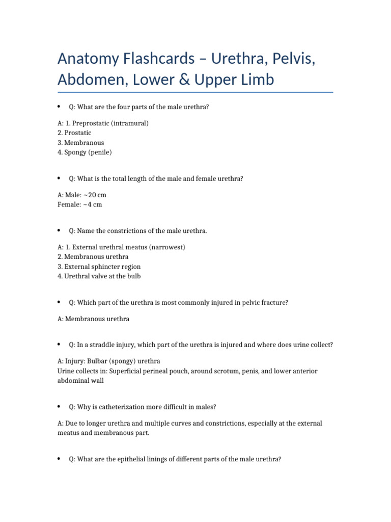 Anatomy Flashcards Complete | PDF | Human Anatomy | Musculoskeletal System