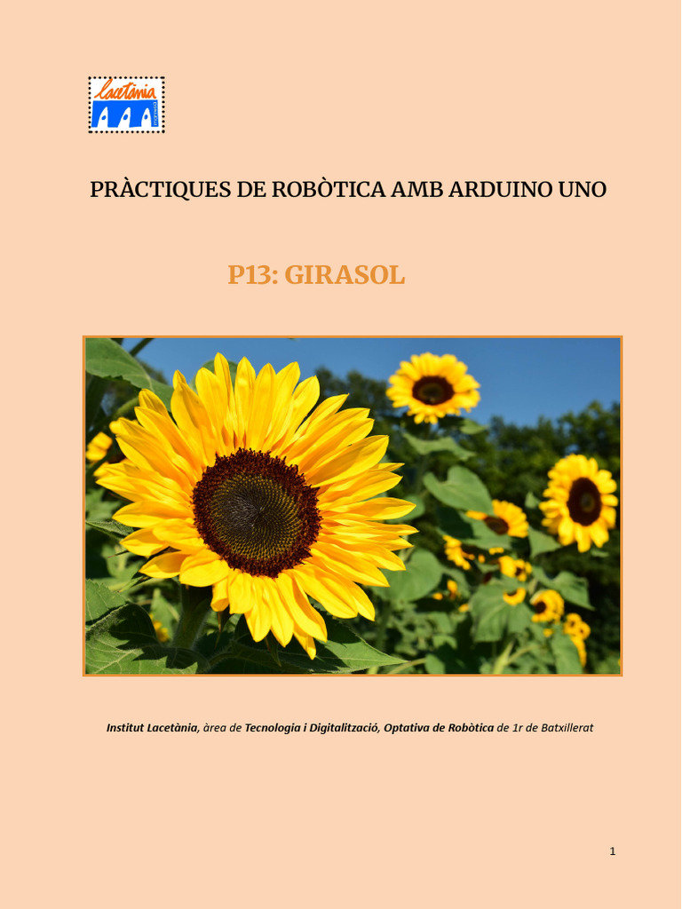 Practica Final Primero de Bachi | PDF