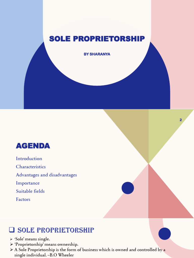 Sole Proprietorship | PDF | Sole Proprietorship | Ownership