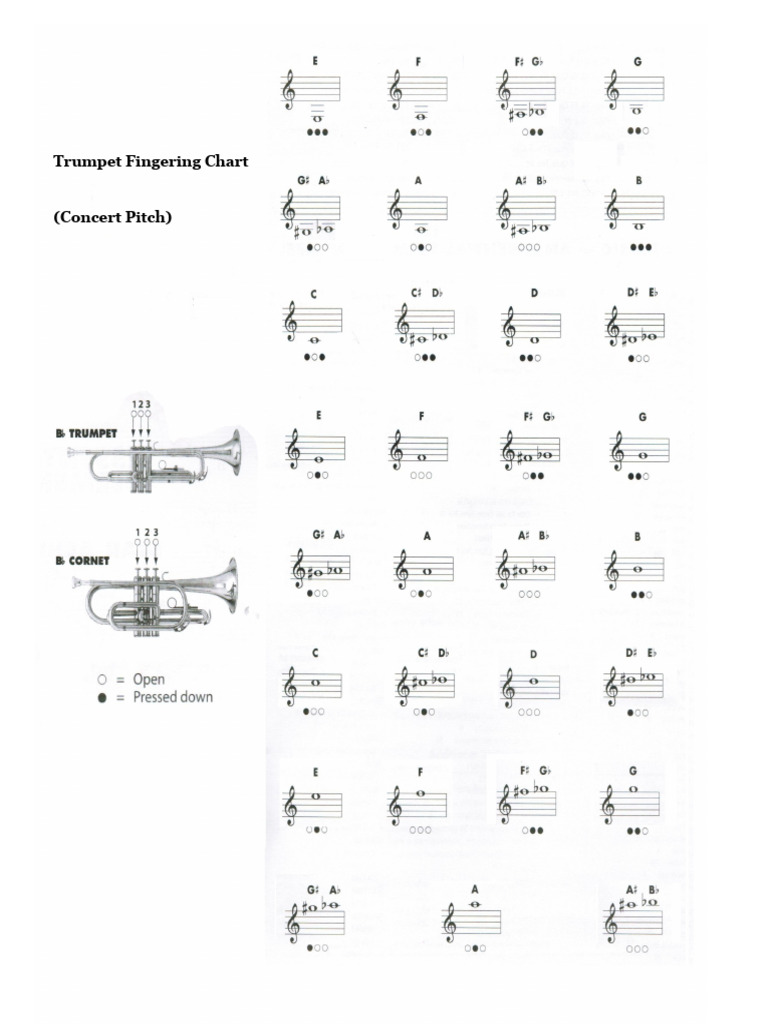 Trumpet Concert Pitch Fingering Chart | PDF
