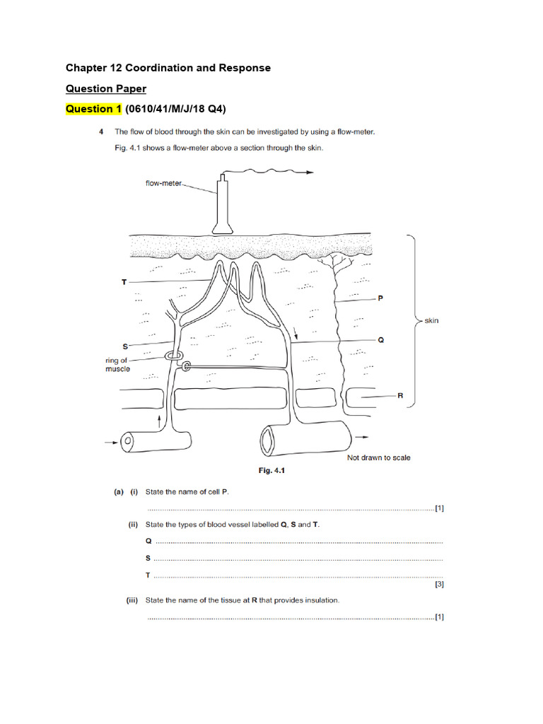 Chapter 12 Coordination and Response | PDF