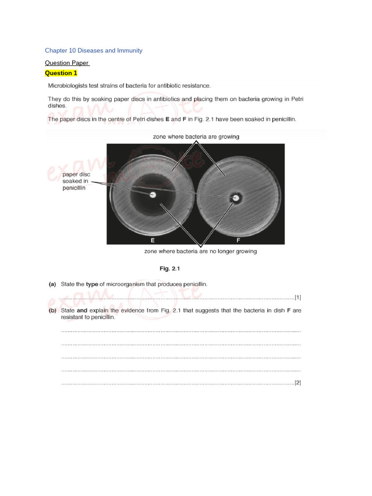 Chapter 10 Diseases and Immunity | PDF