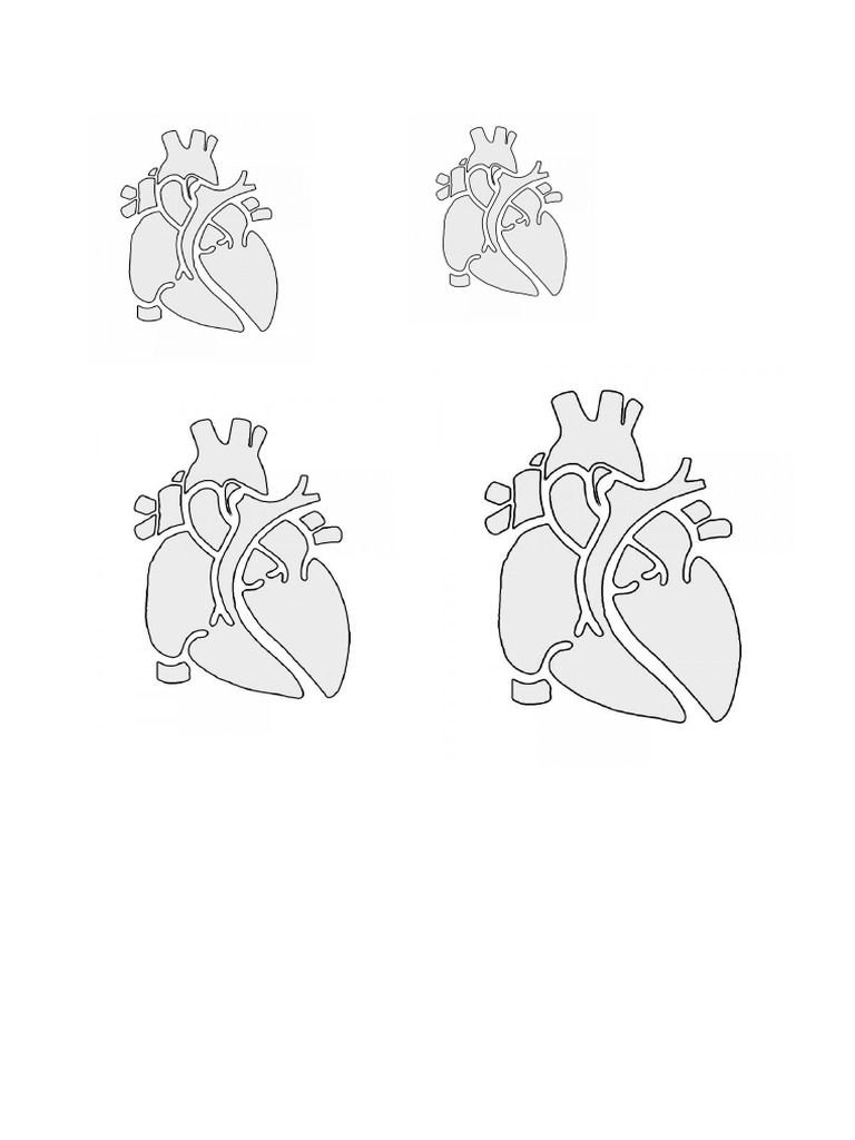 HEART | PDF